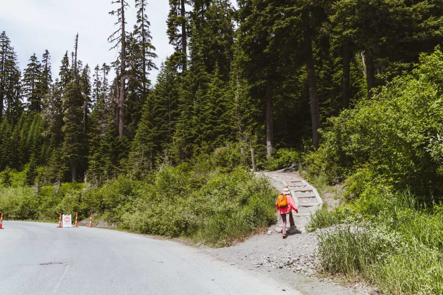 Snow Lake Trail in Washington: Hiking Guide