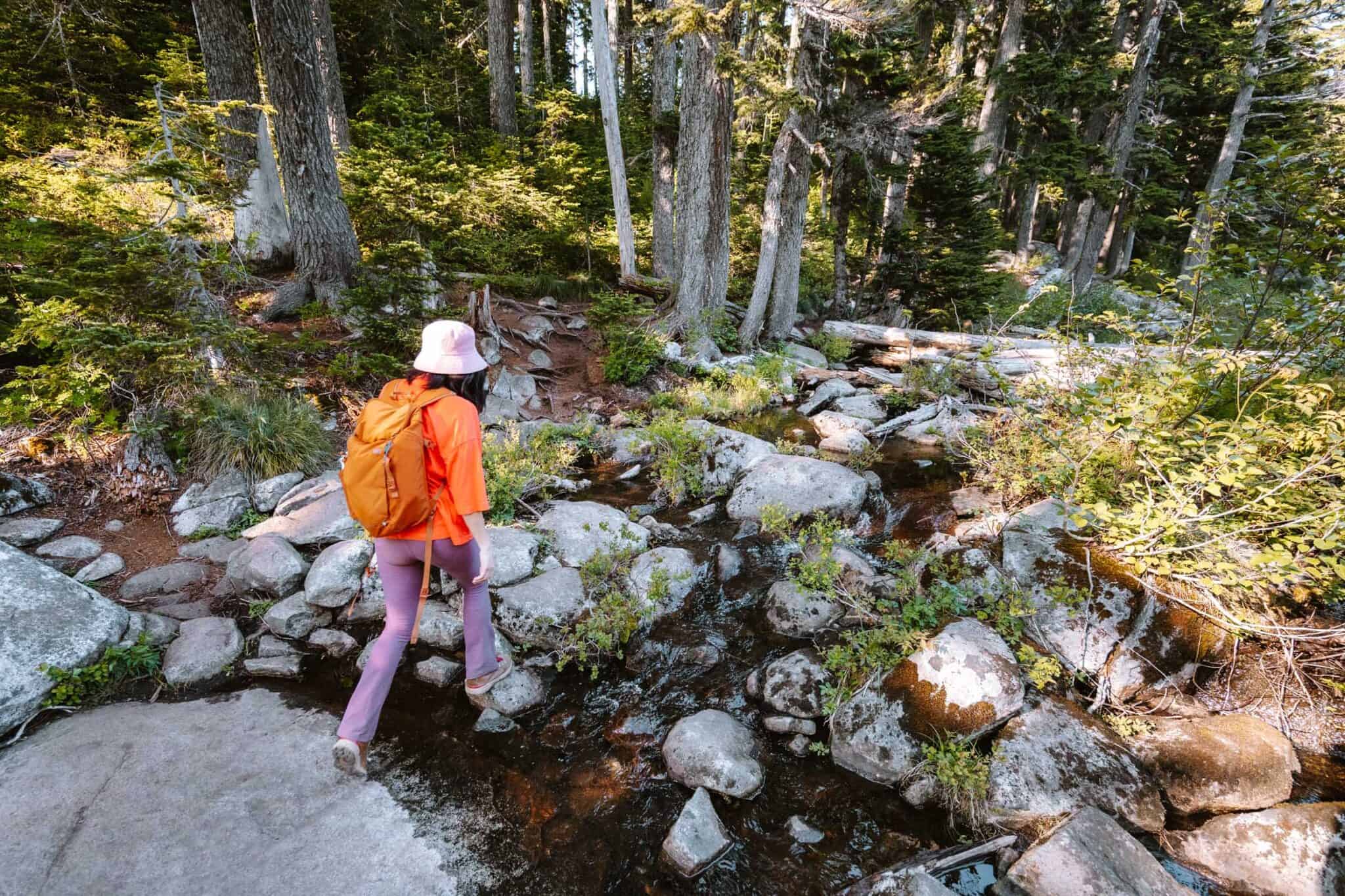 Mason Lake Hike in Washington: Complete Guide