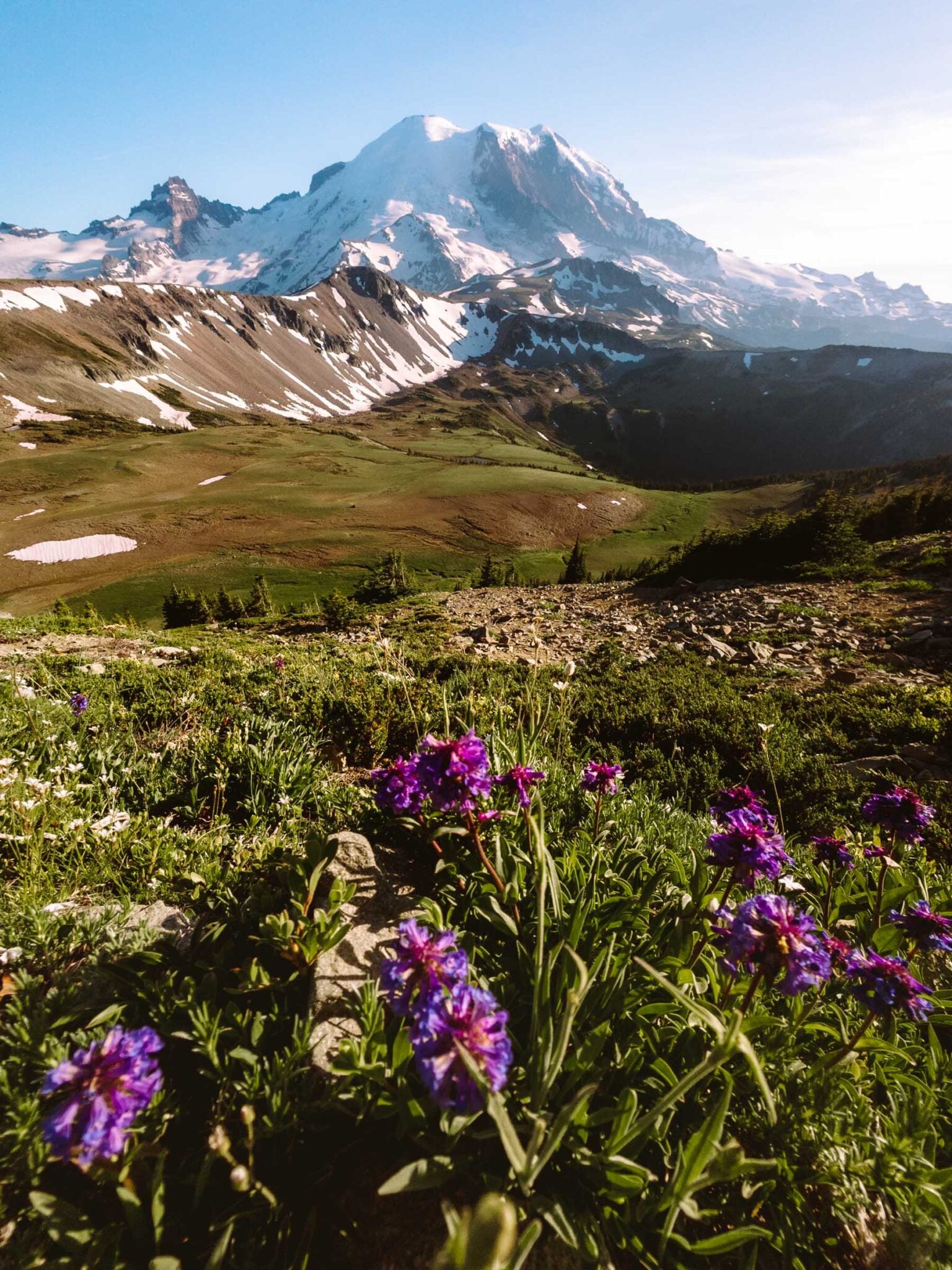 12 Unique Things to Do in Mount Rainier: Complete Travel Guide
