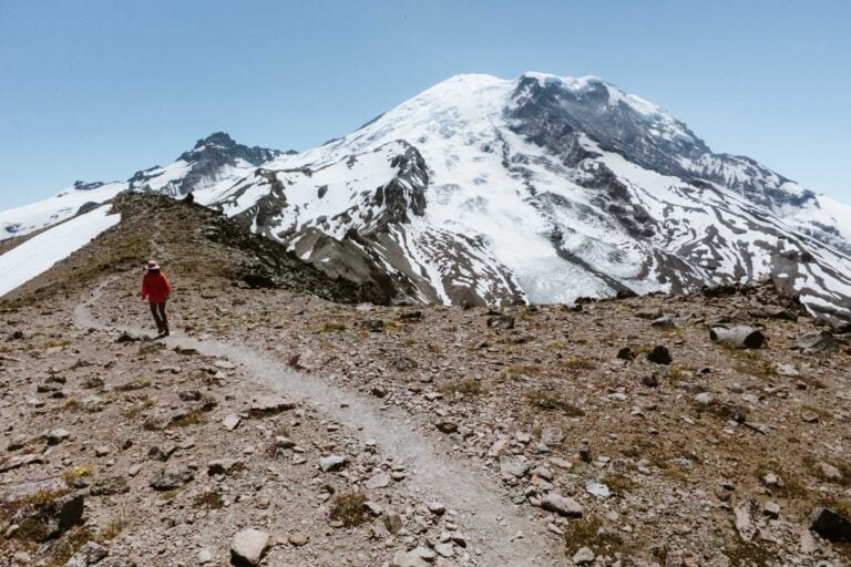 Burroughs Mountain Trail in Mount Rainier: Complete Hiking Guide