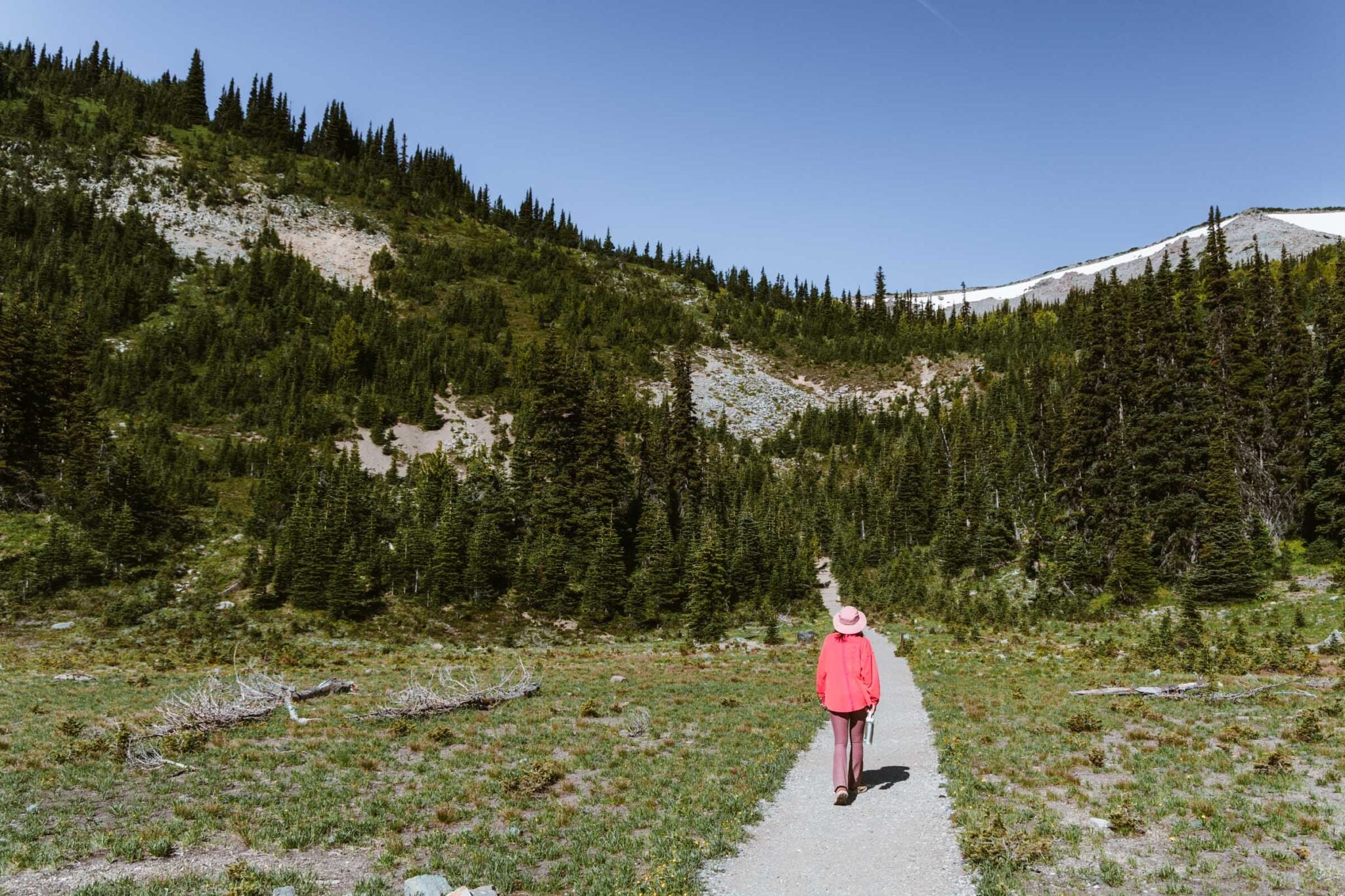 Burroughs Mountain Trail in Mount Rainier: Complete Hiking Guide