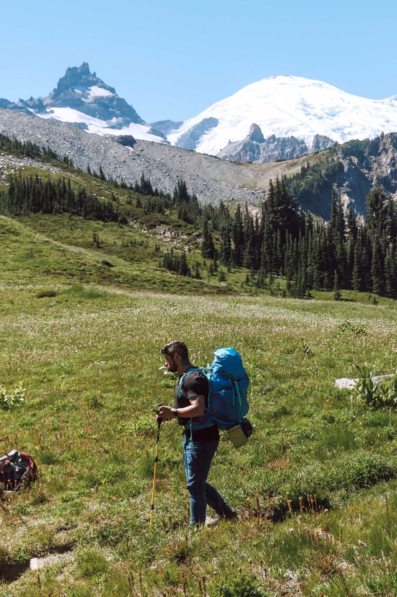 Summerland Trail in Mount Rainier: Complete Hiking Guide