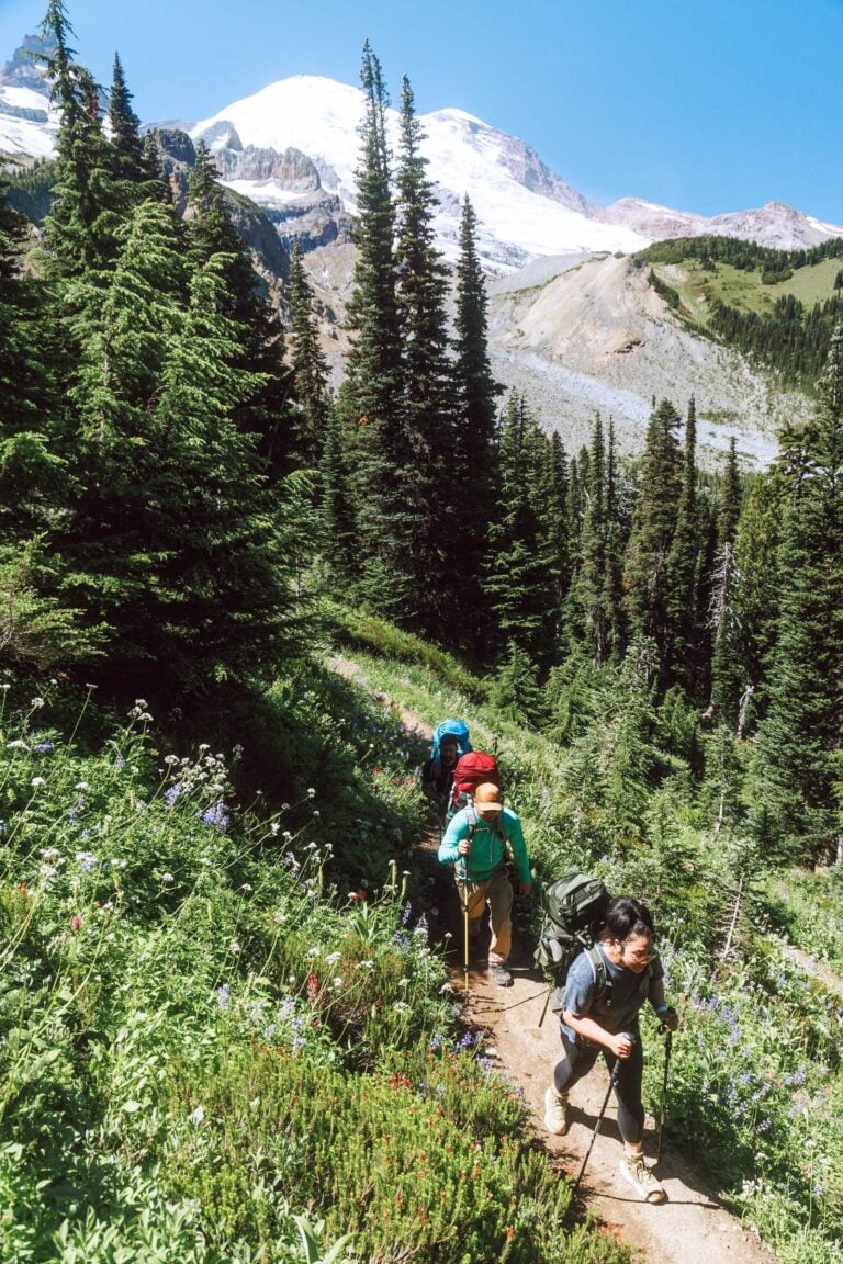 Summerland Trail in Mount Rainier: Complete Hiking Guide