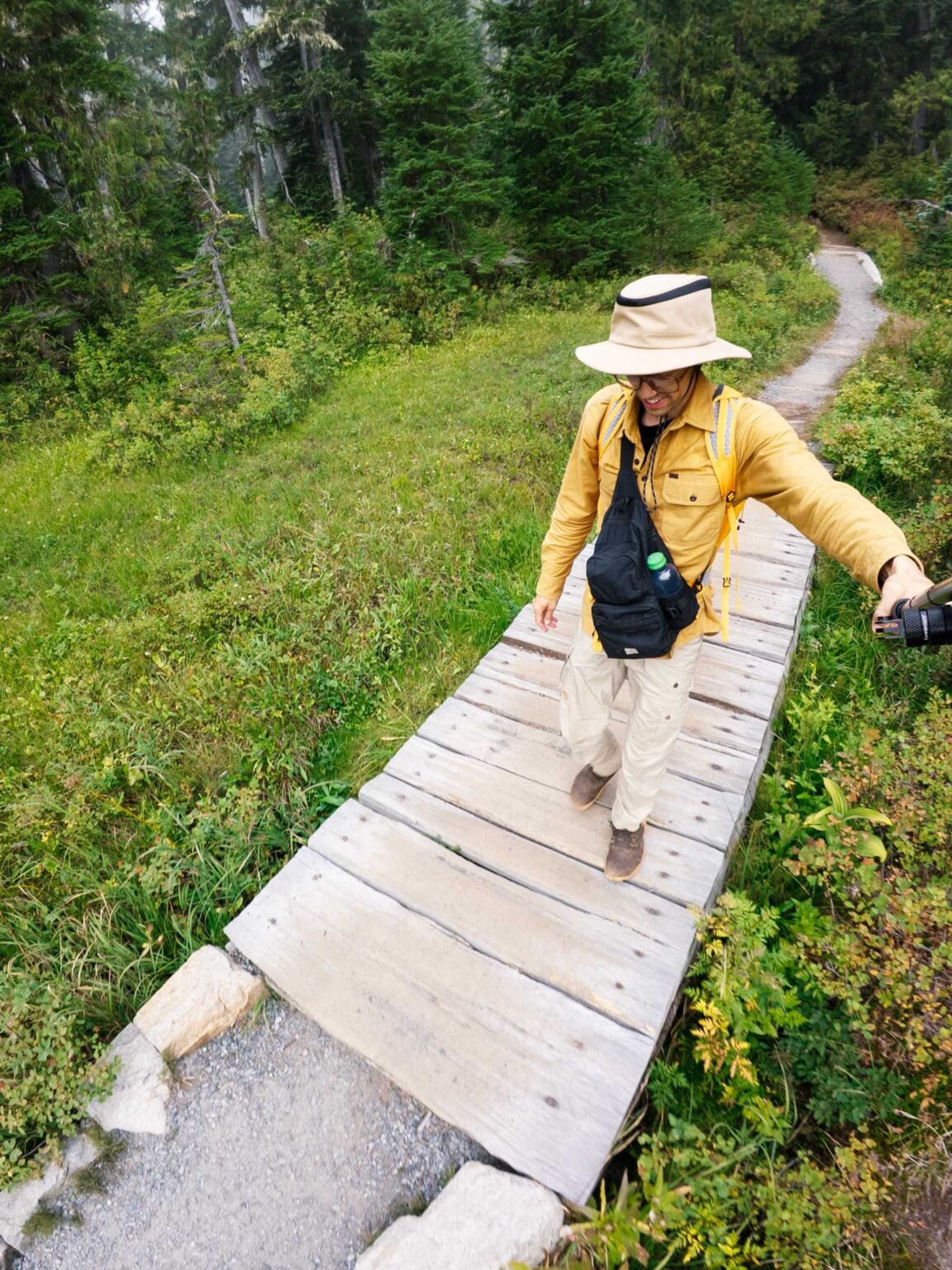 High Lakes Loop in Mount Rainier: Complete Hiking Guide