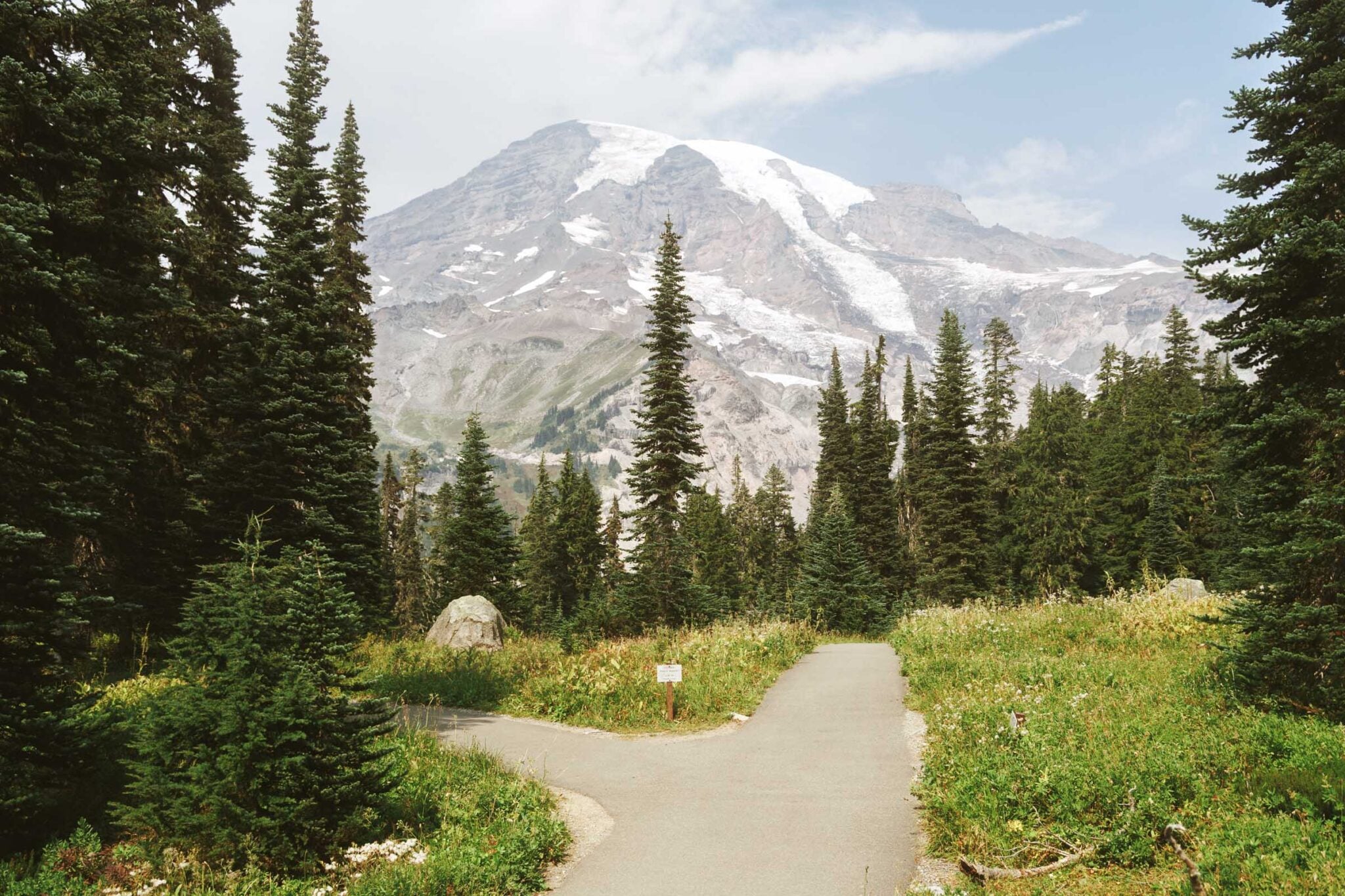 Nisqually Vista Trail in Mount Rainier: Complete Hiking Guide
