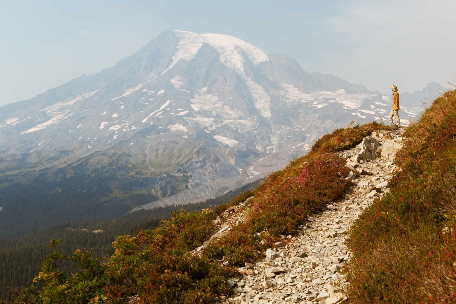 Pinnacle Peak in Mount Rainier: Complete Hiking Guide