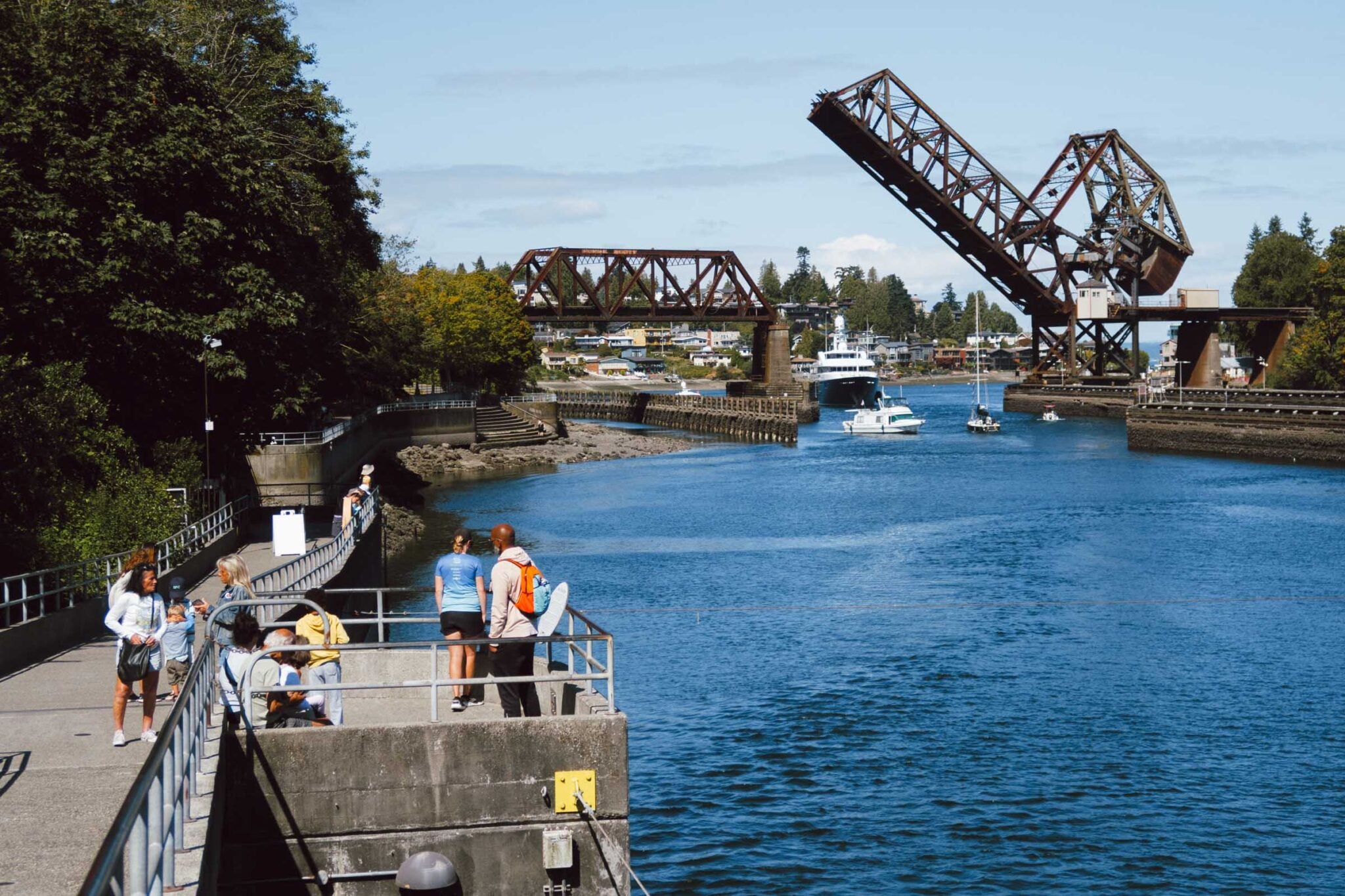 Ballard Locks and Fish Ladder: Complete Guide