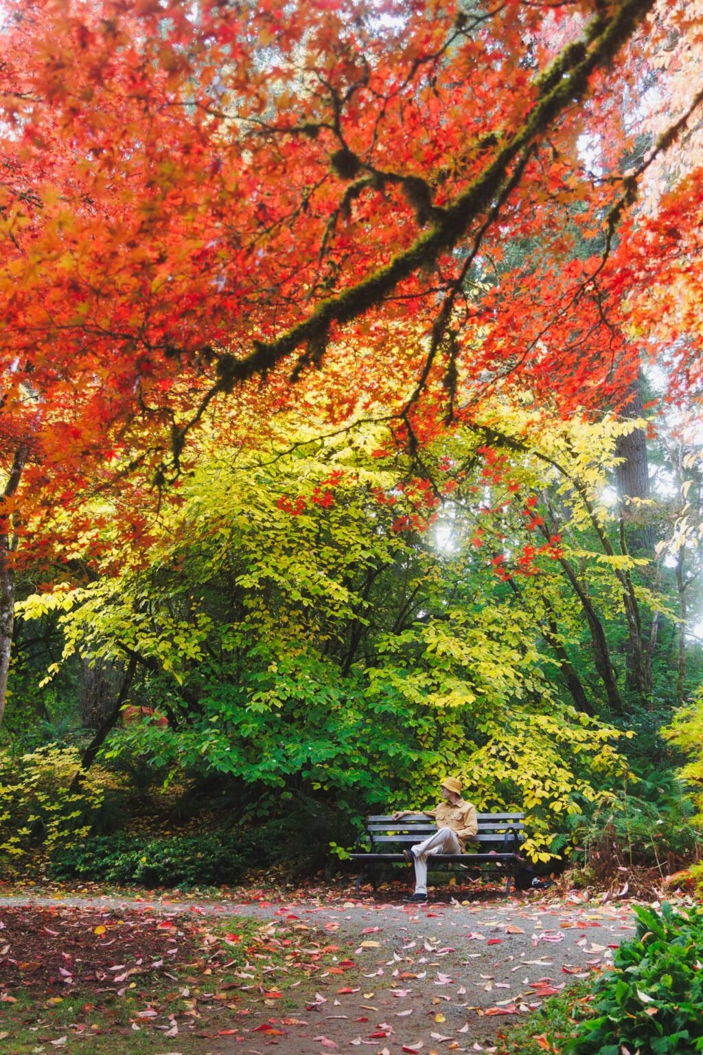 29 Incredible Things to Do in Seattle: Complete Travel Guide