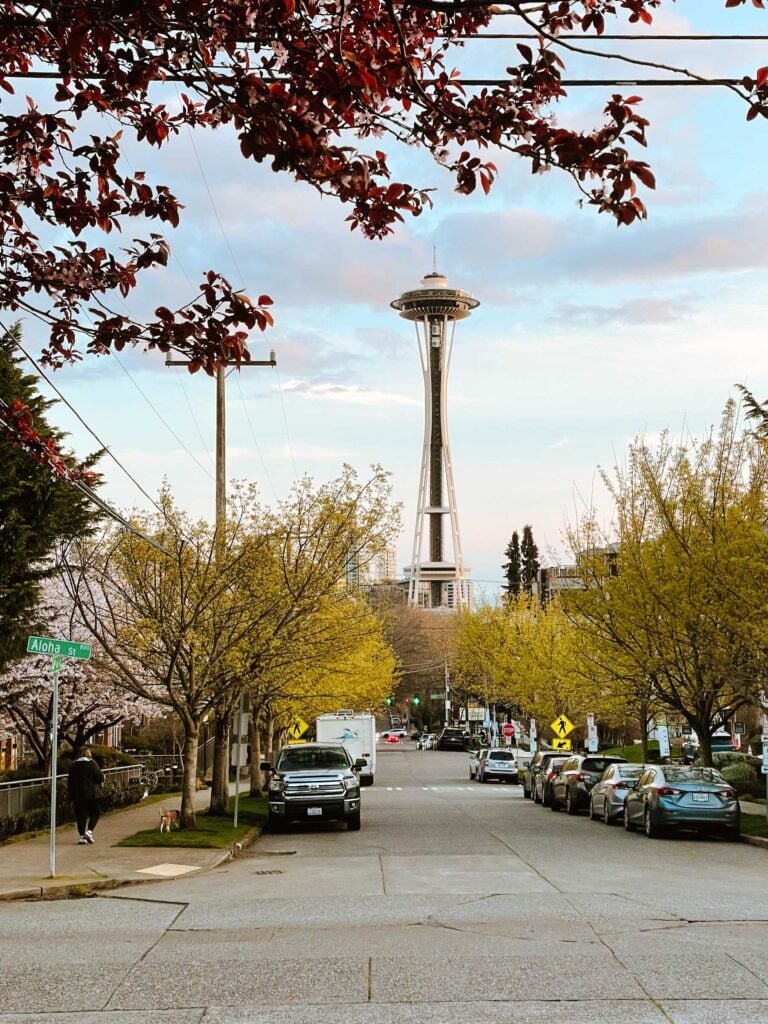 8 Incredible Views of the Space Needle: Complete Travel Guide