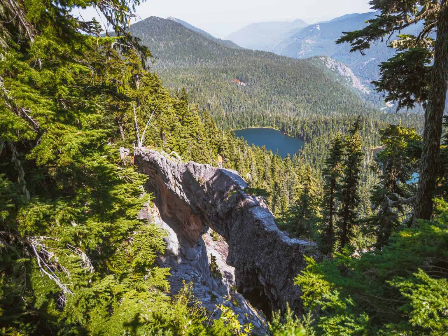 Nisqually Vista Trail in Mount Rainier: Complete Hiking Guide